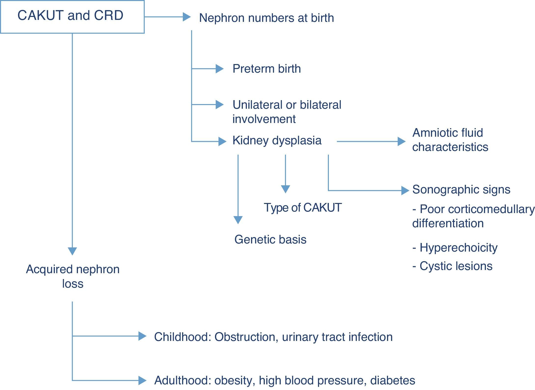 Congenital anomalies of the kidney and urinary tract. A vision for the ...