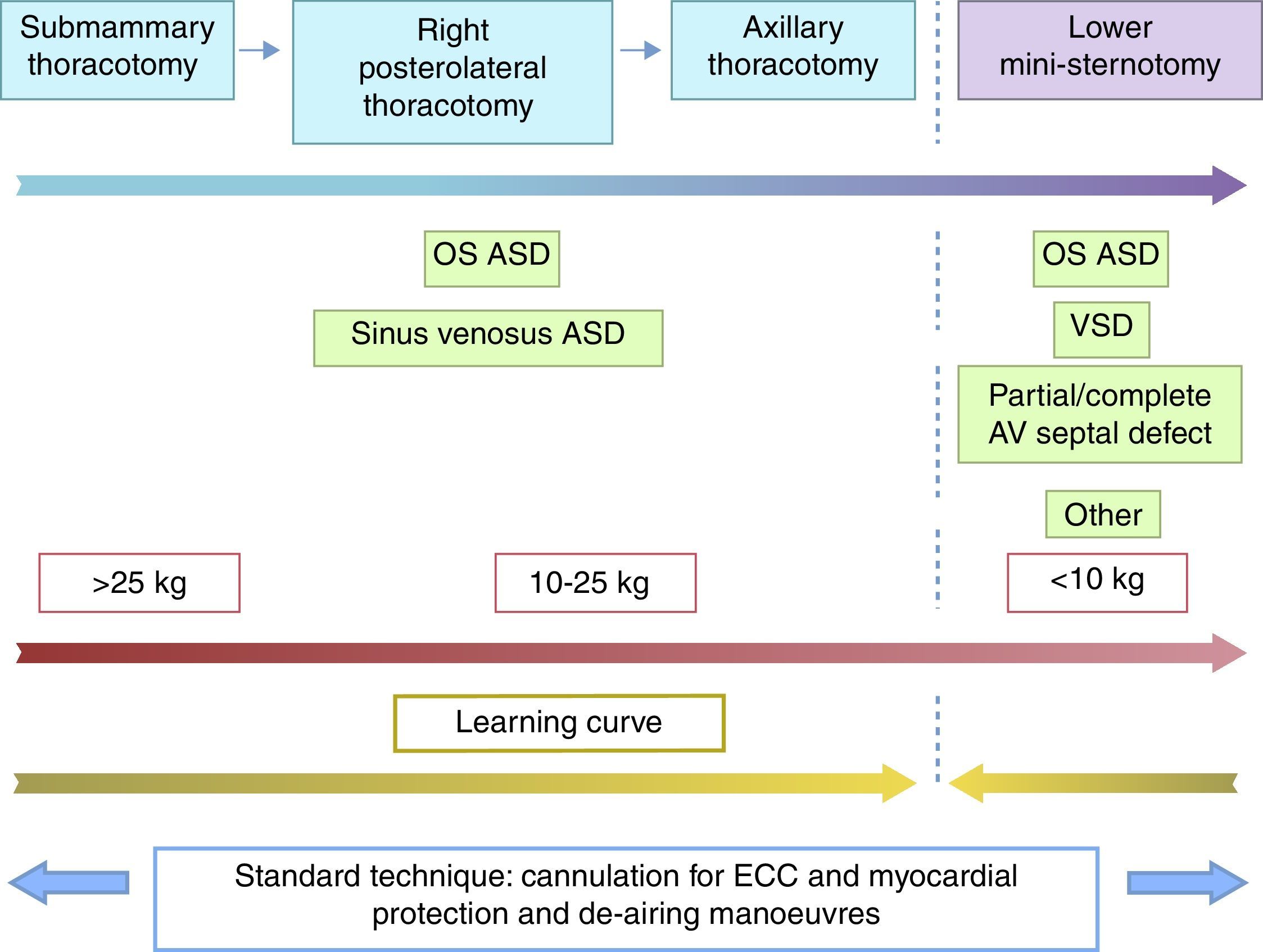 15 years of minimally invasive paediatric cardiac surgery; development ...