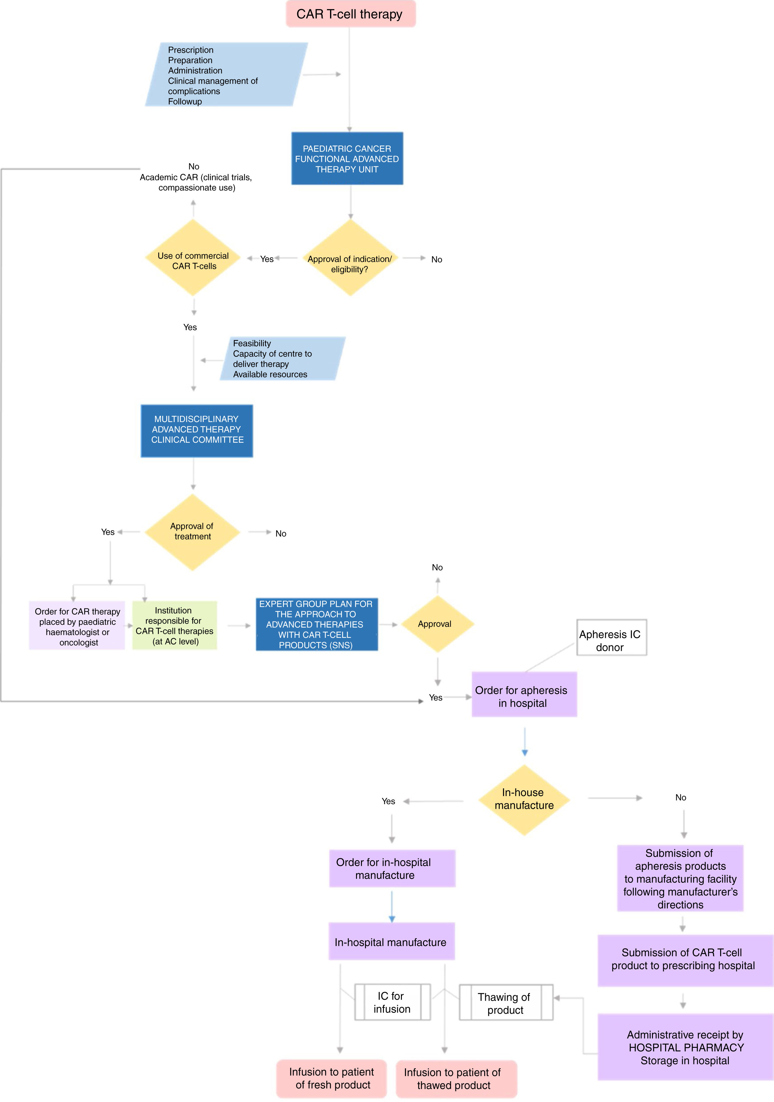 Immunotherapy with CAR-T cells in paediatric haematology-oncology ...