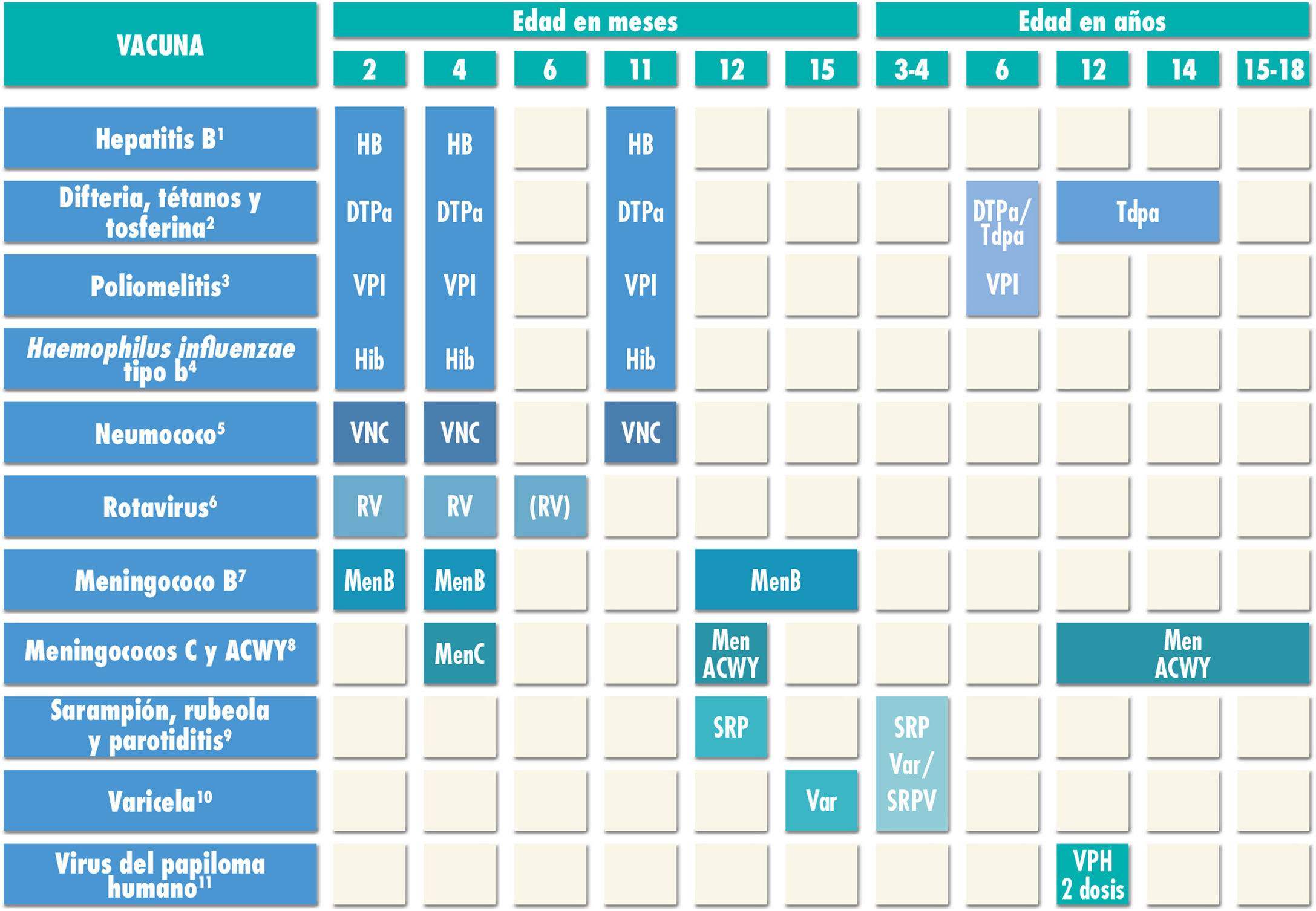 immunisation routine schedule