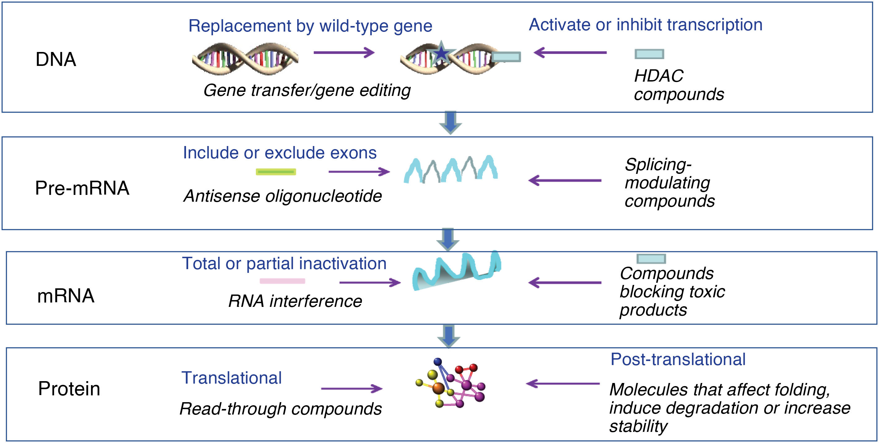 Advanced therapies in pediatric genetic diseases | Anales de Pediatría