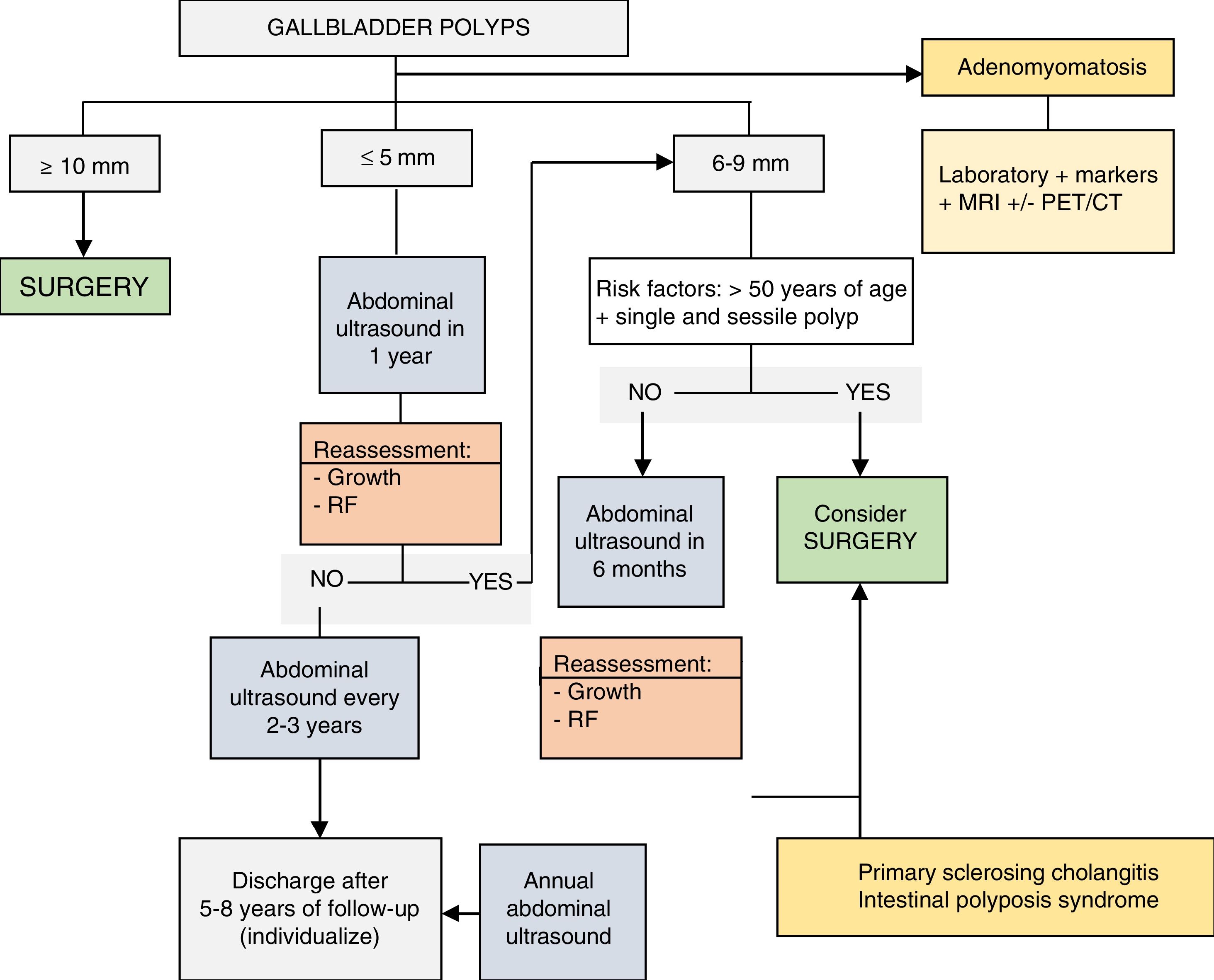 Management and treatment of gallbladder polyps | Medicina Clínica ...