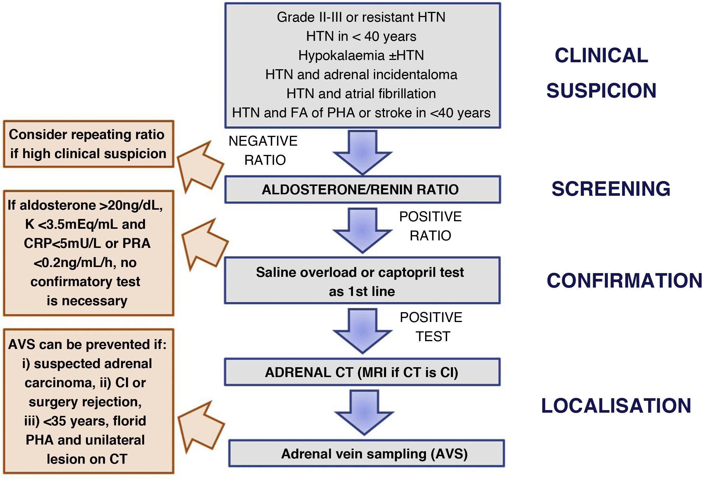Diagnosis of primary hyperaldosteronism | Medicina Clínica (English ...