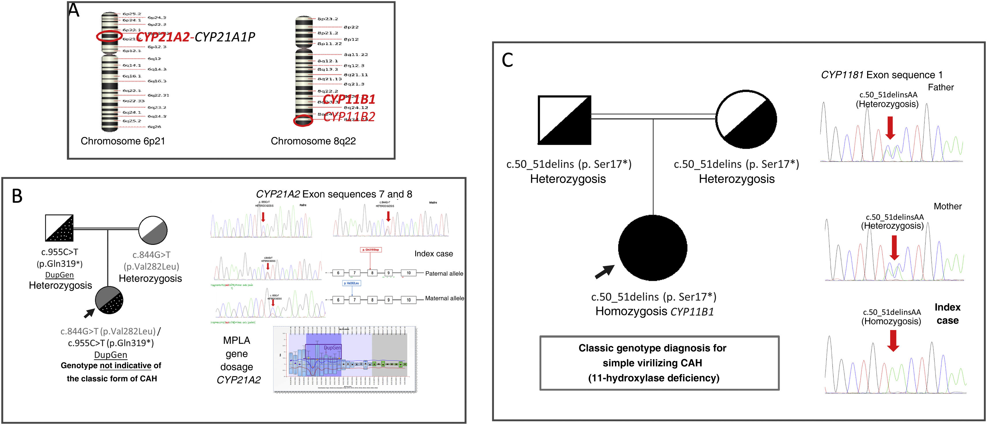 CYP21A2 and CYP11B1 gene analyses in a virilized newborn female with ...