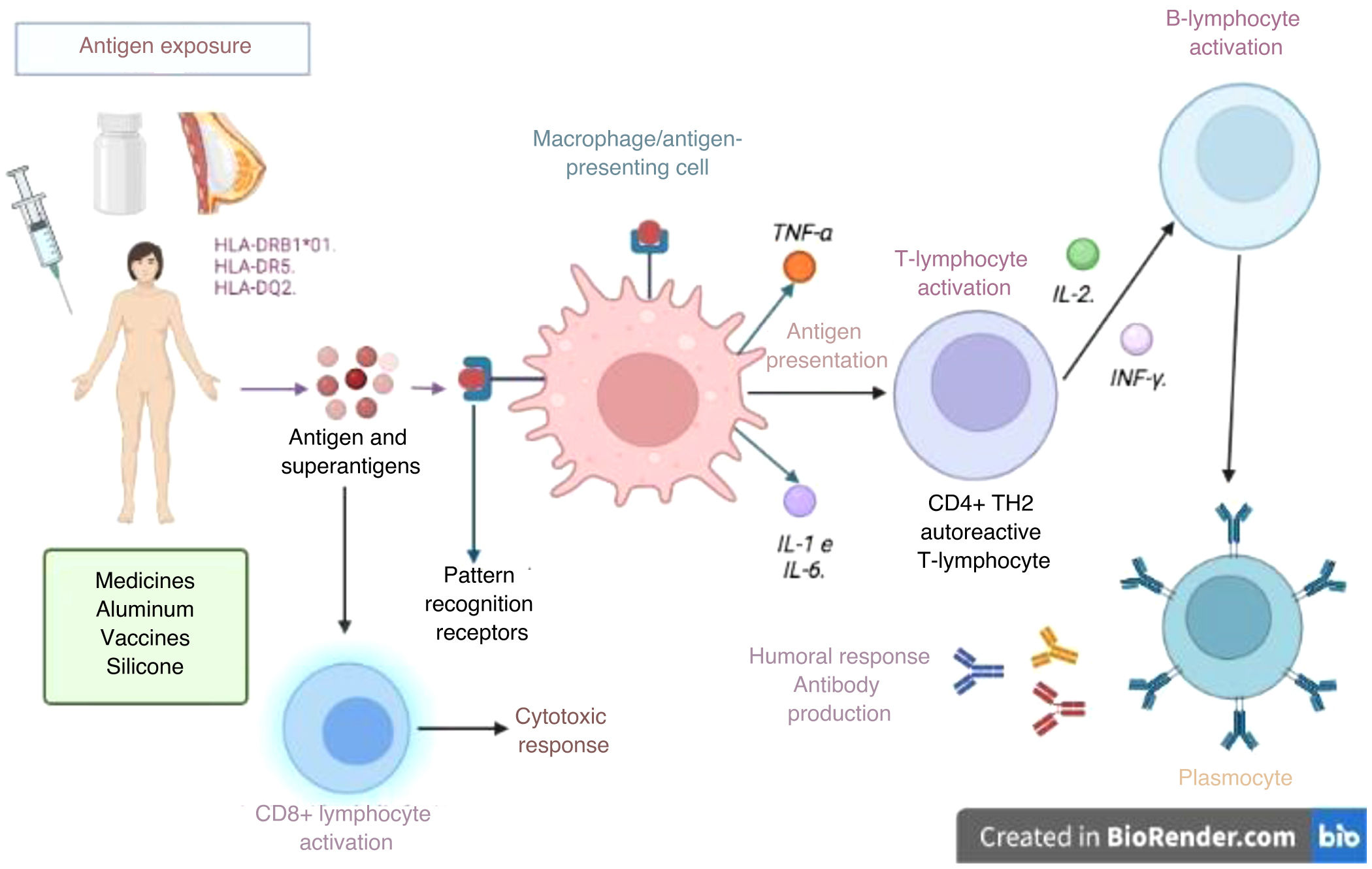 ASIA syndrome (autoimmune/inflammatory syndrome induced by adjuvants ...