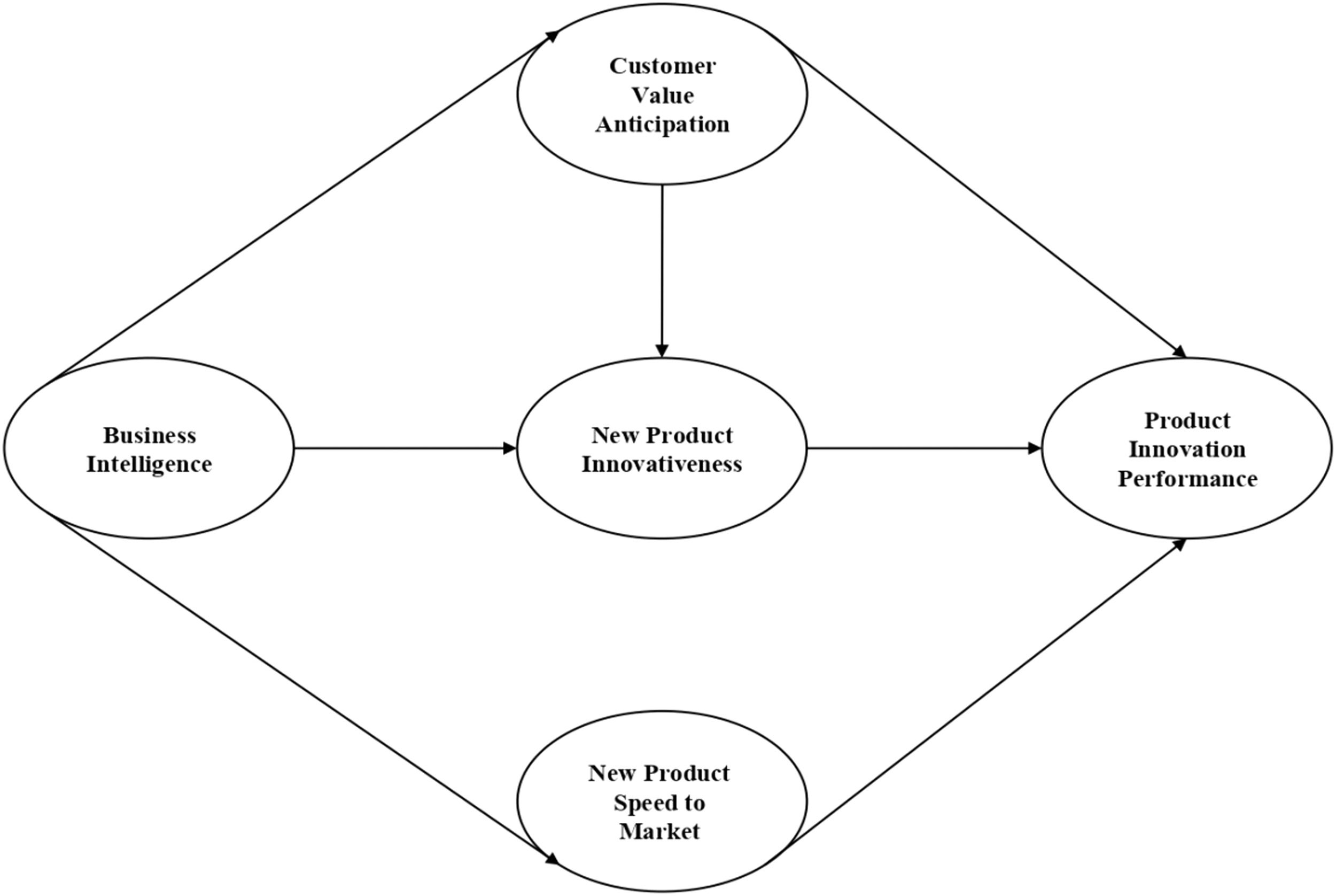 Linking business intelligence with the performance of new service ...