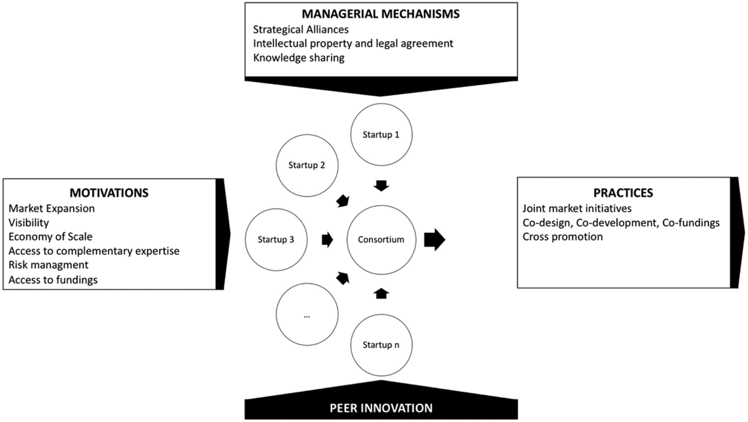 Peer innovation as an open innovation strategy for balancing ...