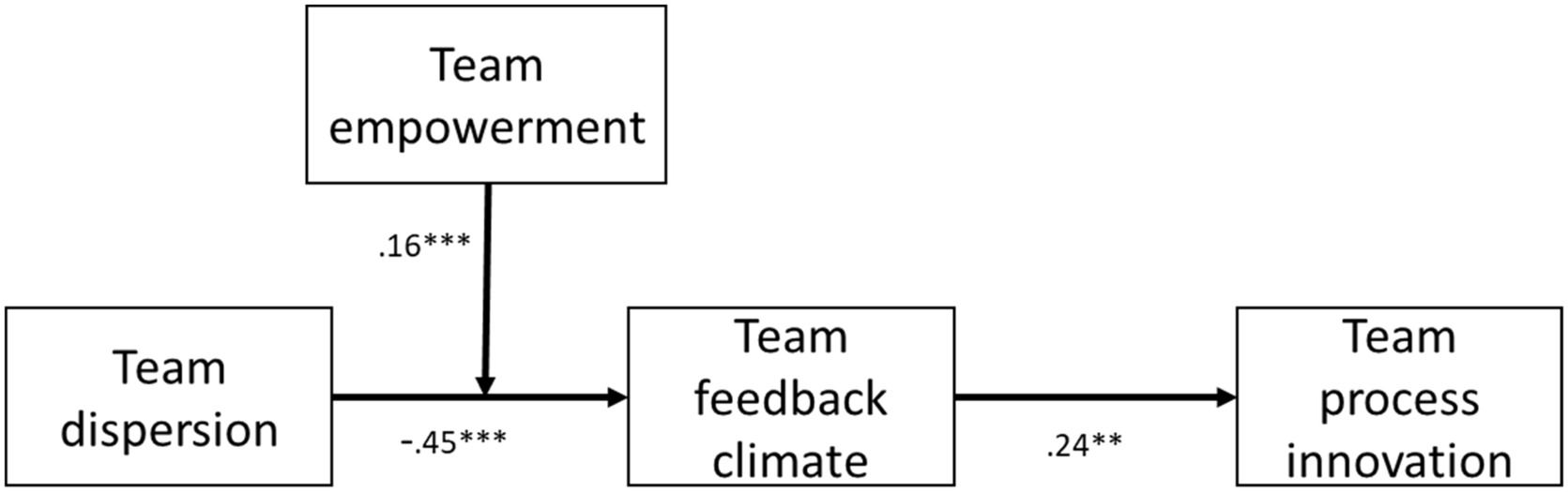 Team process innovation in the new work landscape: The role of feedback ...