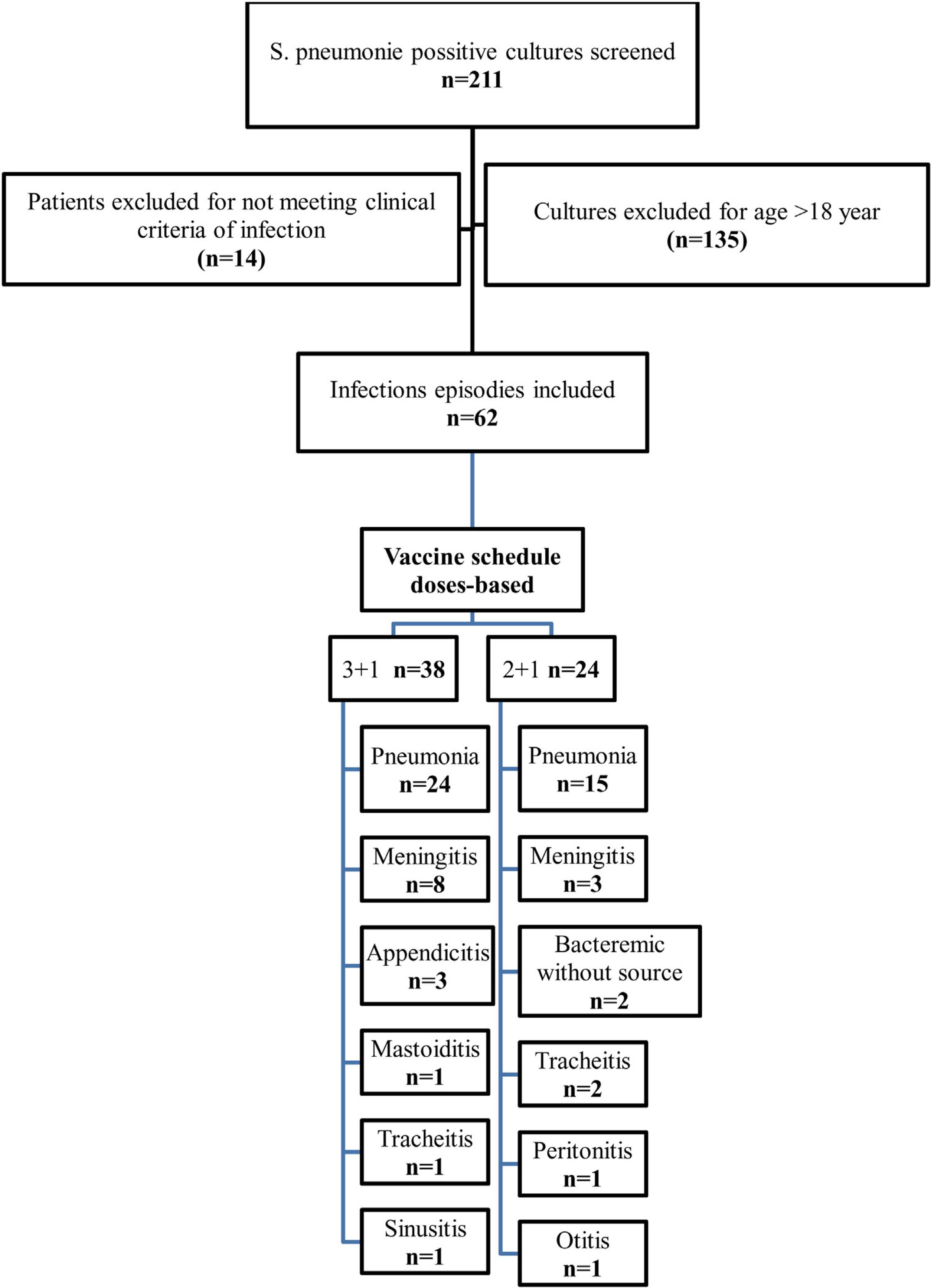 Does the change in the immunization dosing schedule of 10-valent ...
