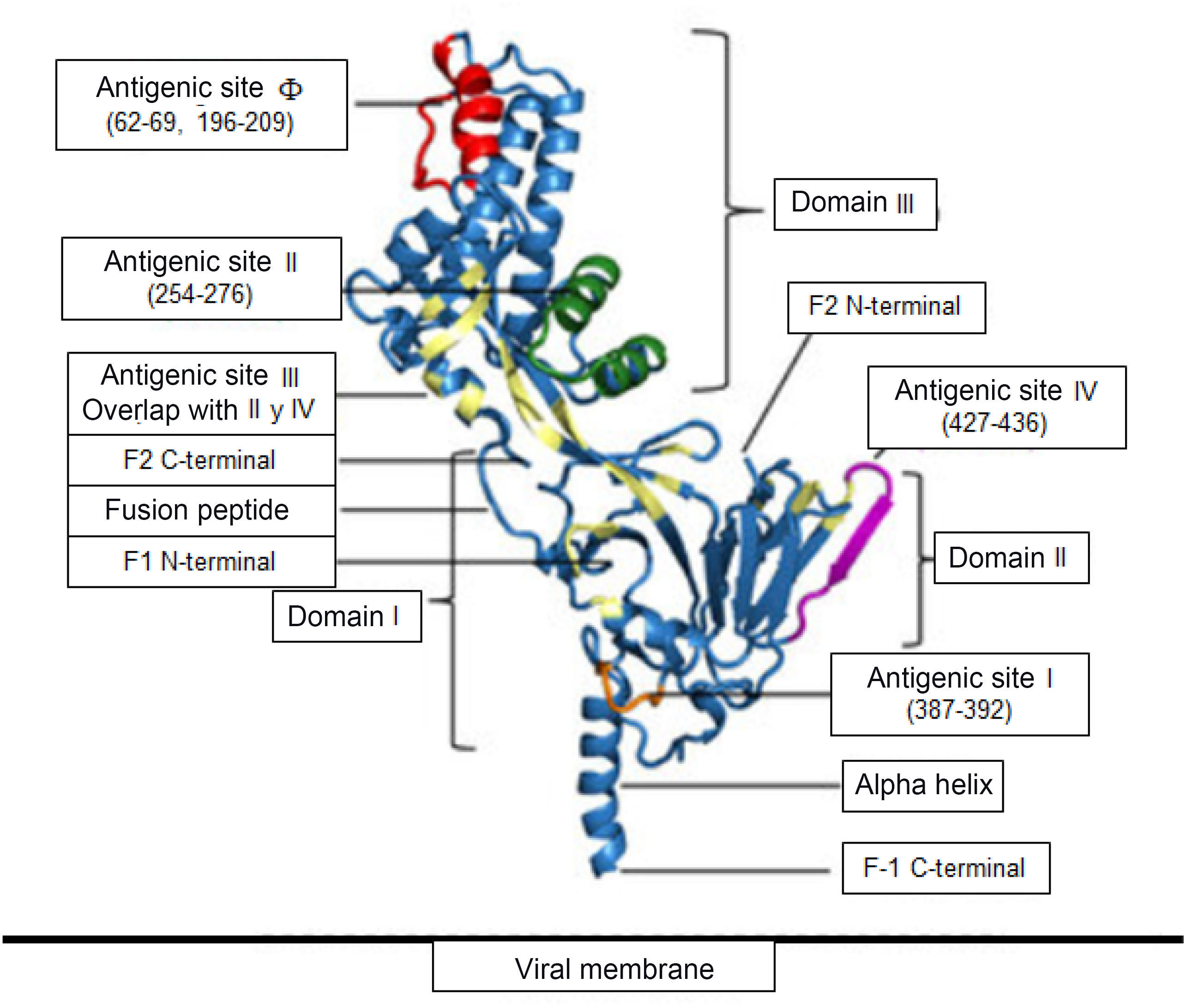 Clesrovimab: A new monoclonal antibody for the prevention of ...