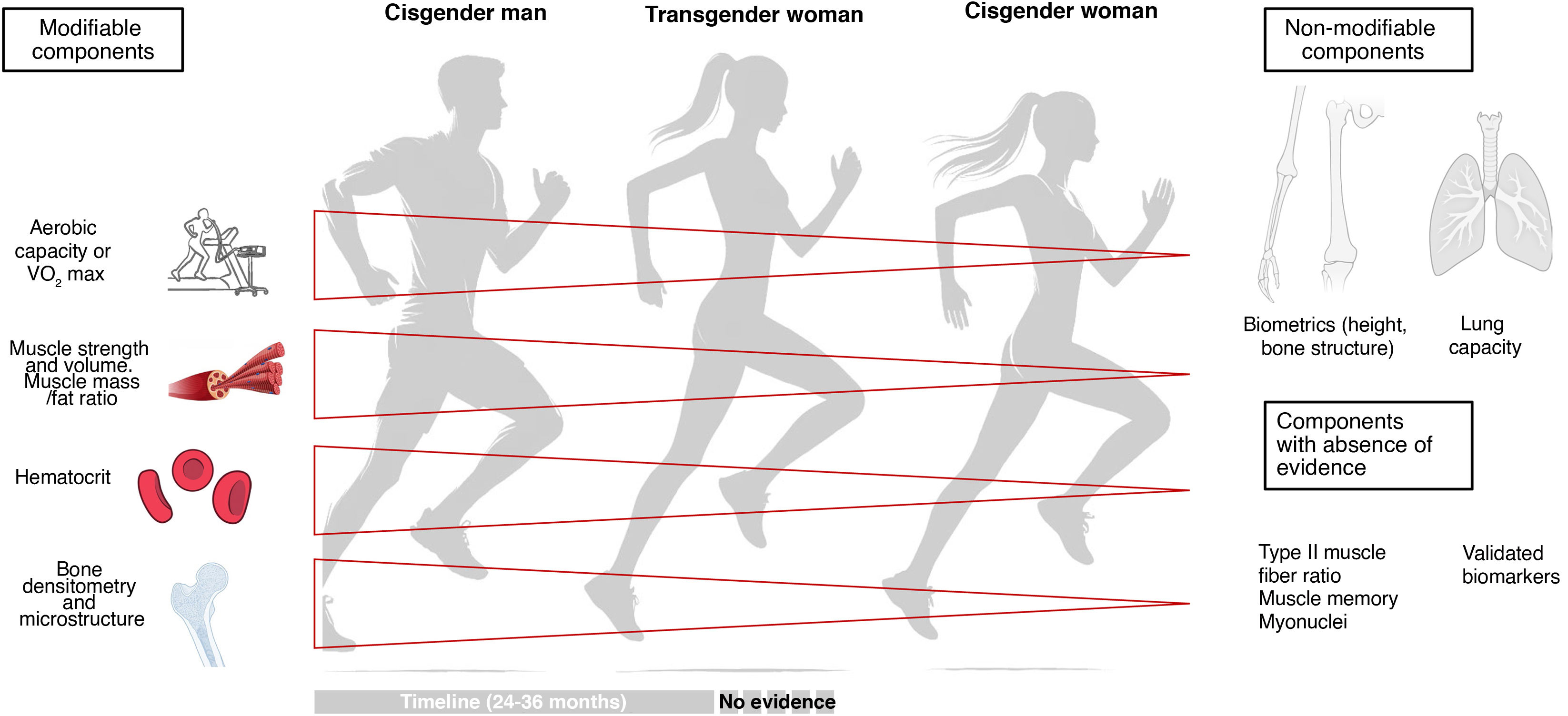 Trans and cis women in sport: Citius, altius, fortius, sed aequitas ...