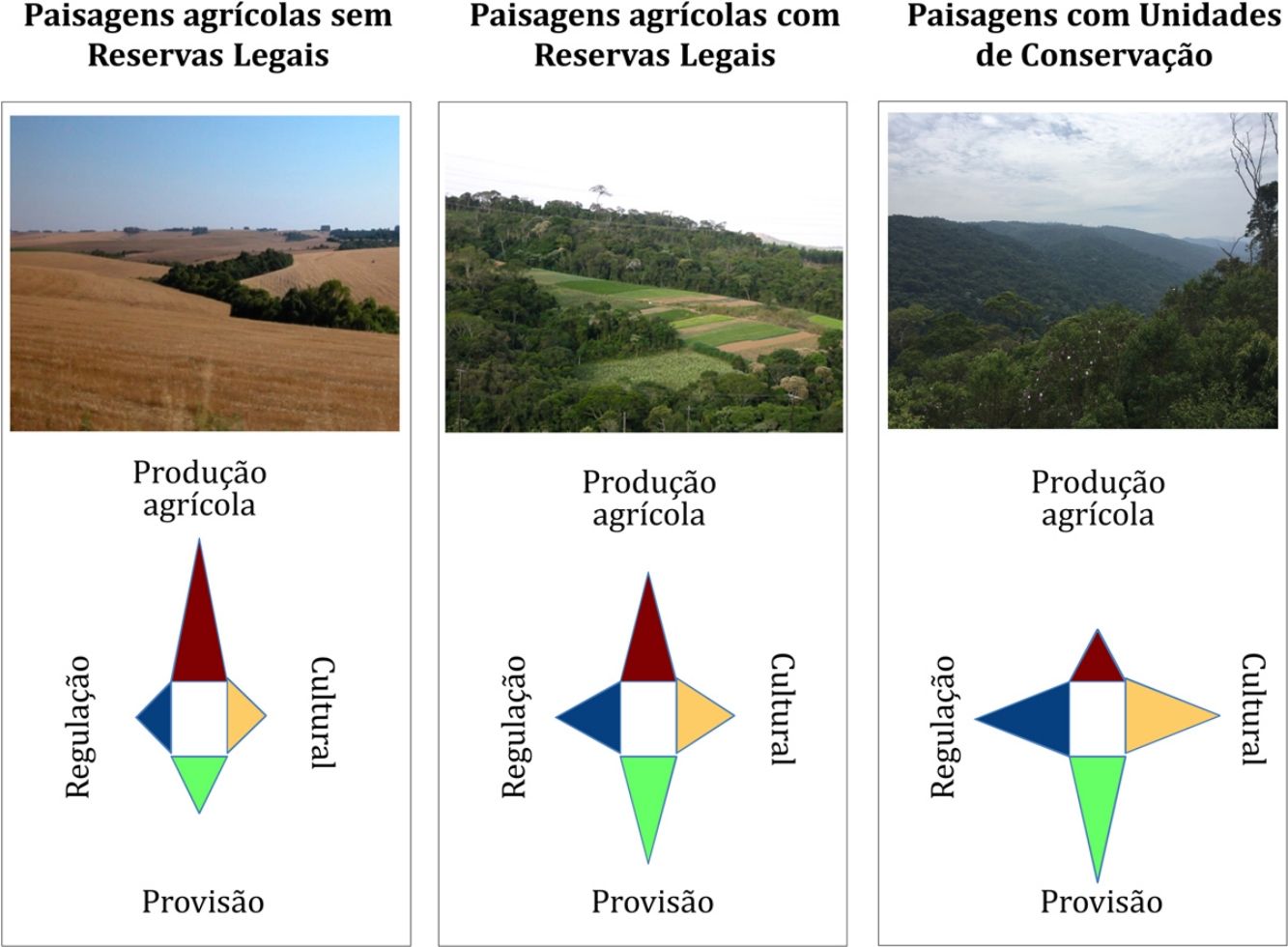 Por que o Brasil precisa de suas Reservas Legais | Perspectives in ...