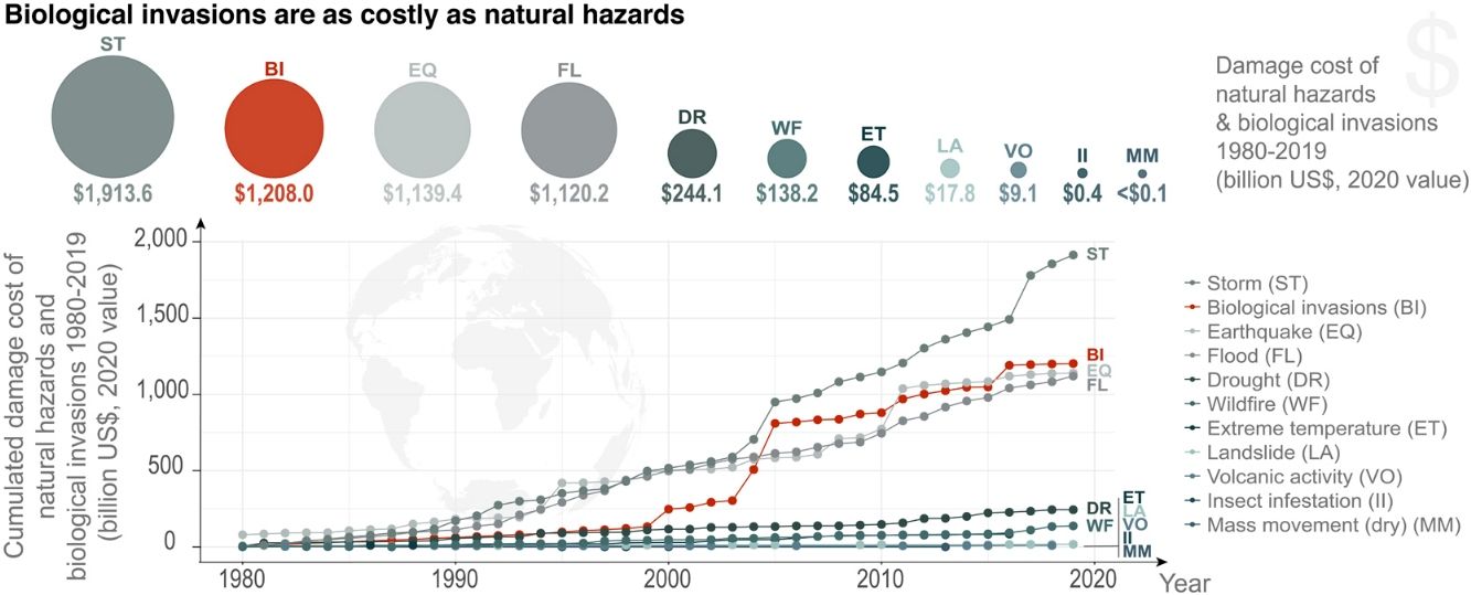 Biological invasions are as costly as natural hazards | Perspectives in ...