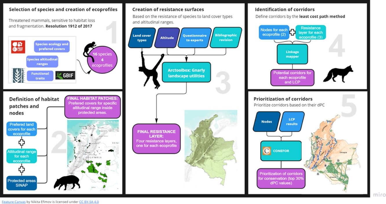 Mapping the way: identifying priority potential corridors for protected ...