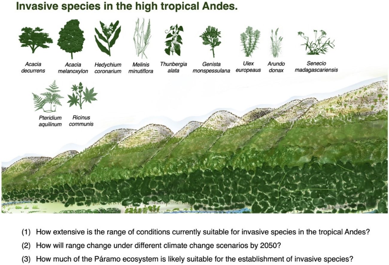 Mapping the threat: projecting invasive plant distribution in the ...