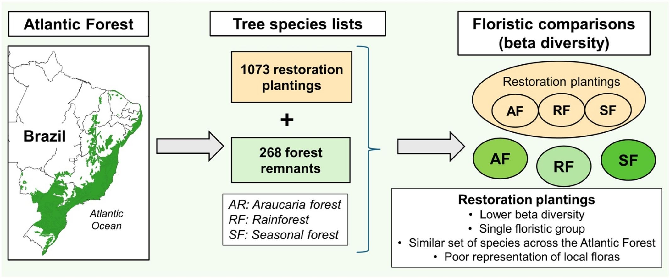 High-diversity Atlantic Forest restoration plantings fail to represent ...