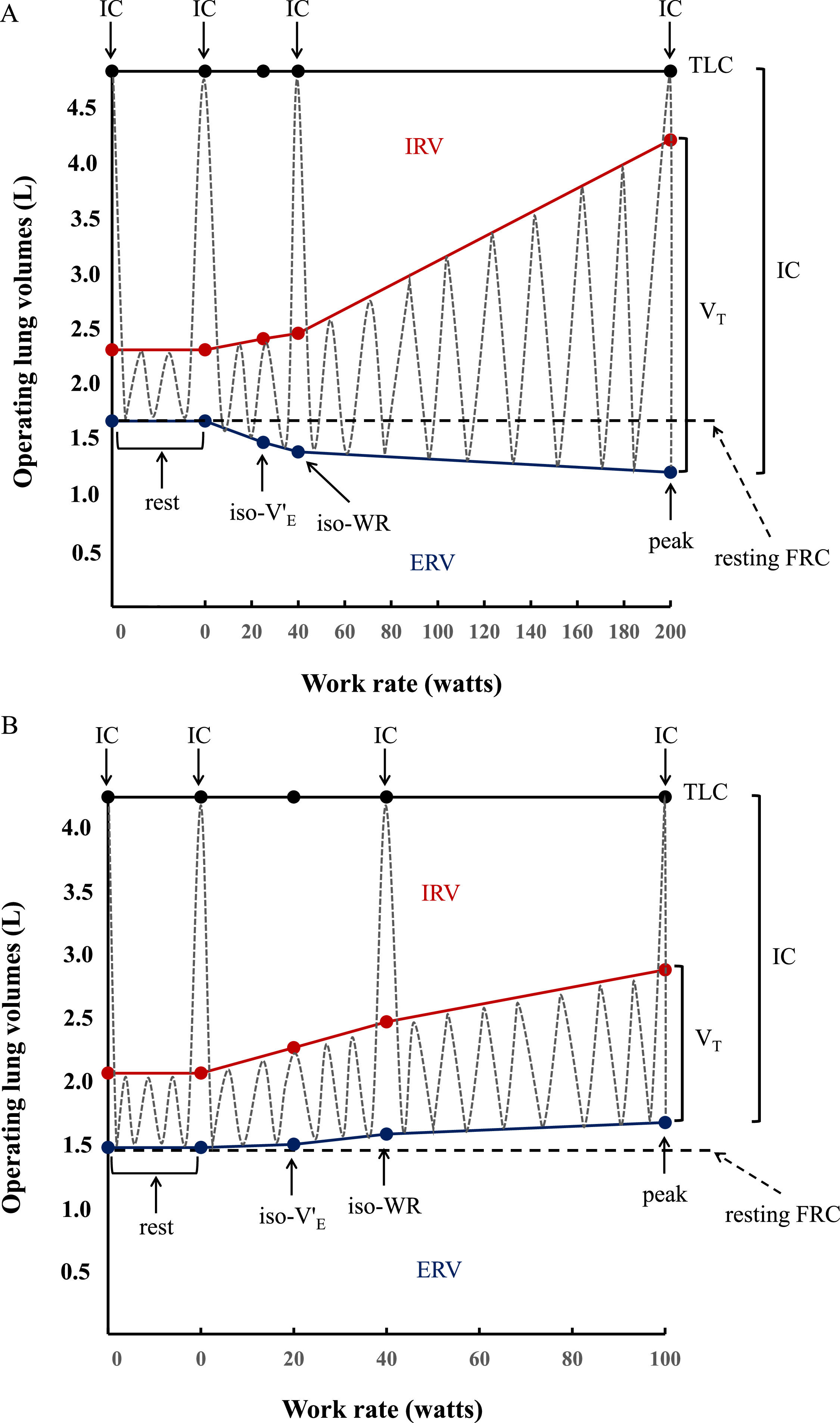 Defective exercise-related expiratory muscle recruitment in patients ...