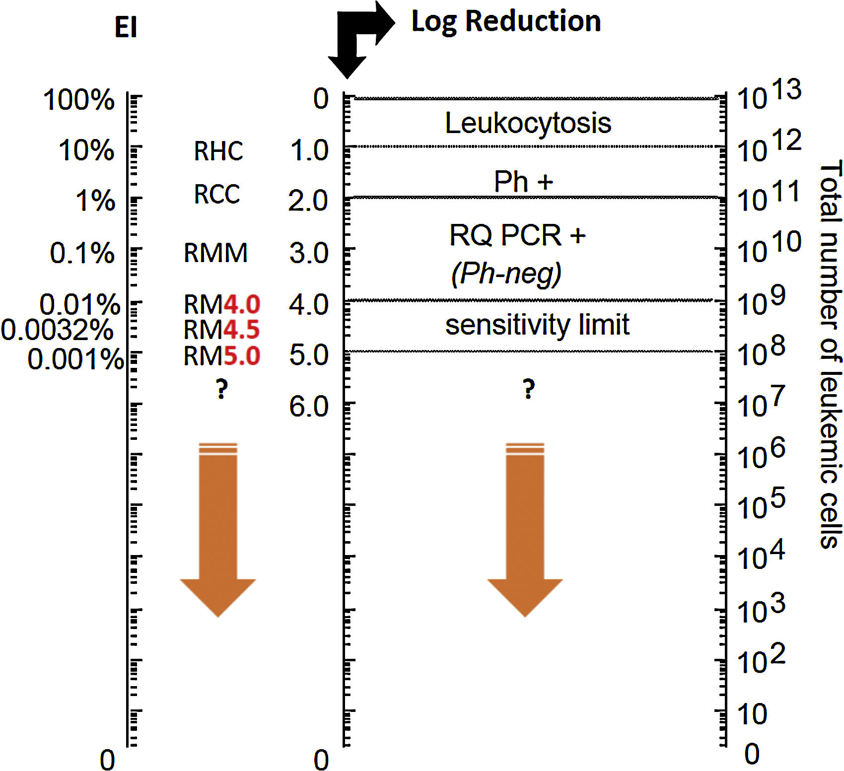 Inclusion of molecular monitoring (BCR-ABL1) in the treatment of ...