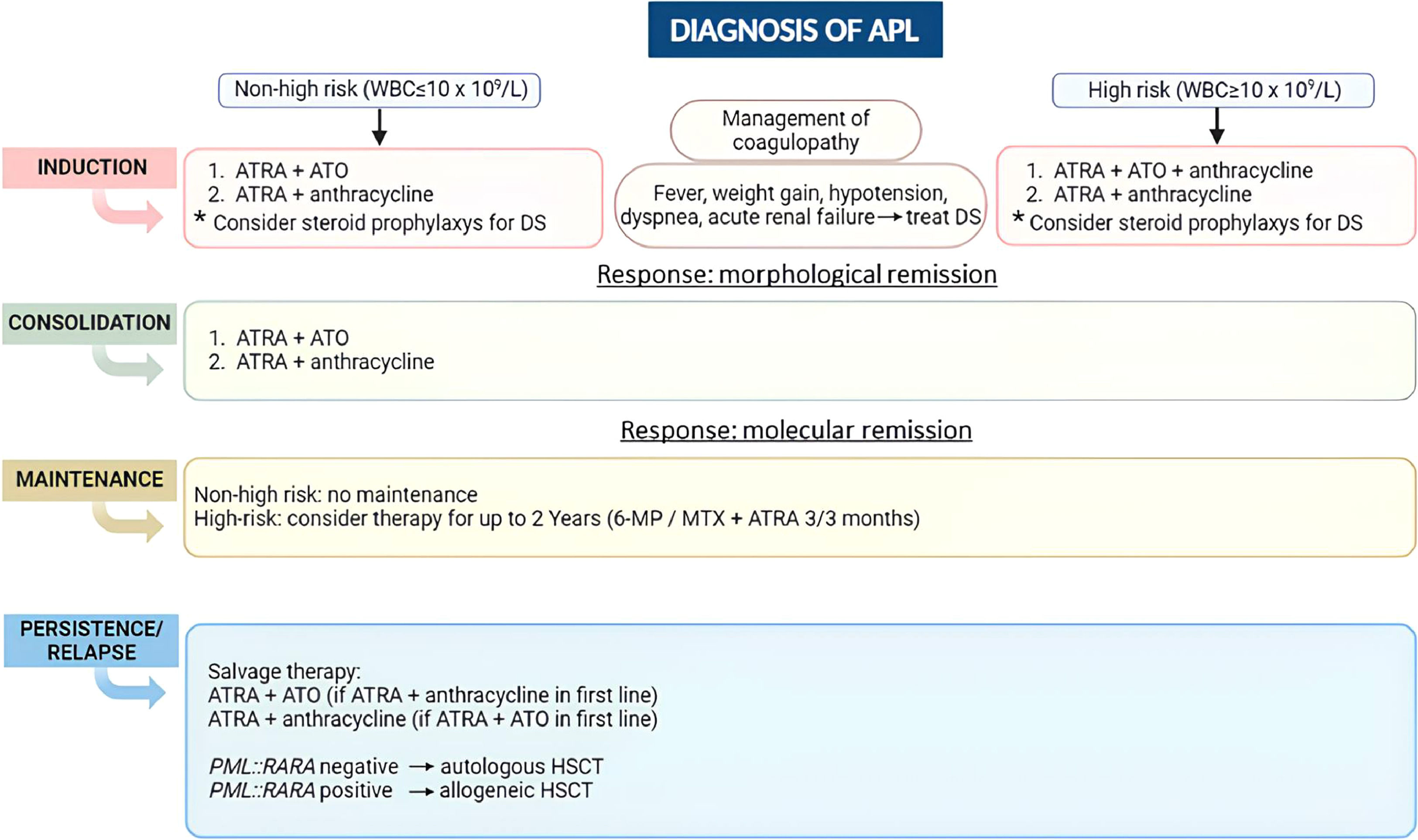 Diagnosis and management of acute promyelocytic leukemia: Brazilian ...