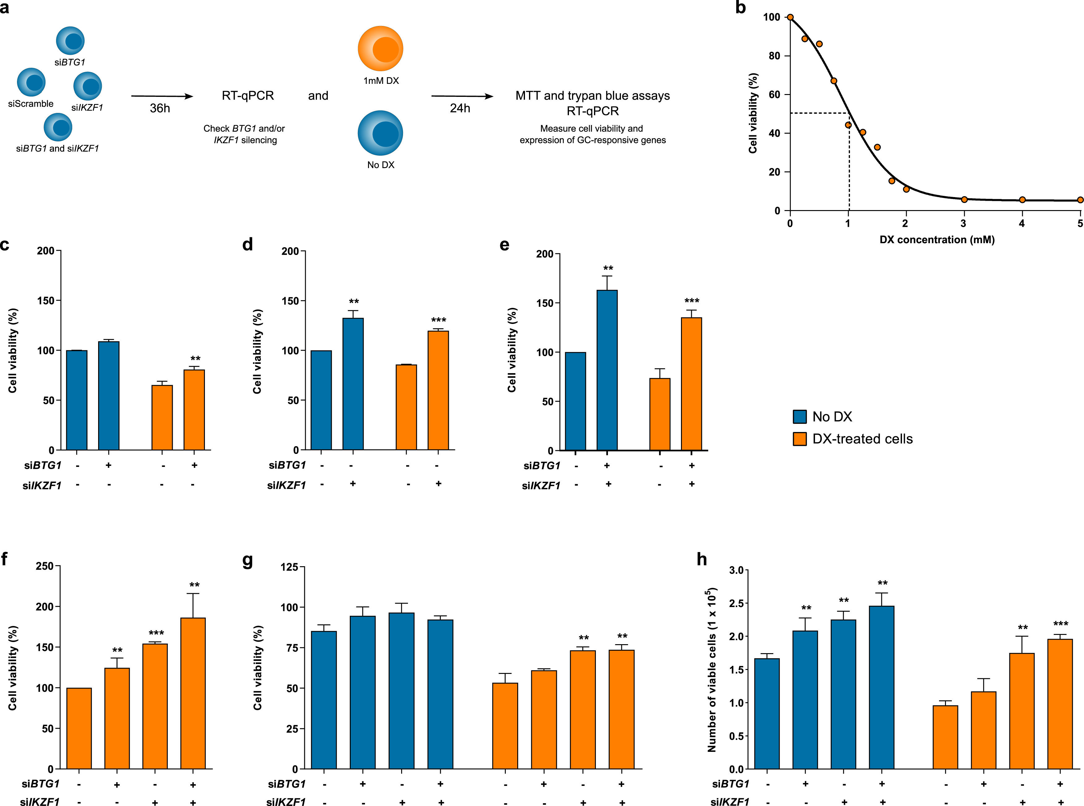 IKZF1 and BTG1 silencing reduces glucocorticoid response in B-cell ...