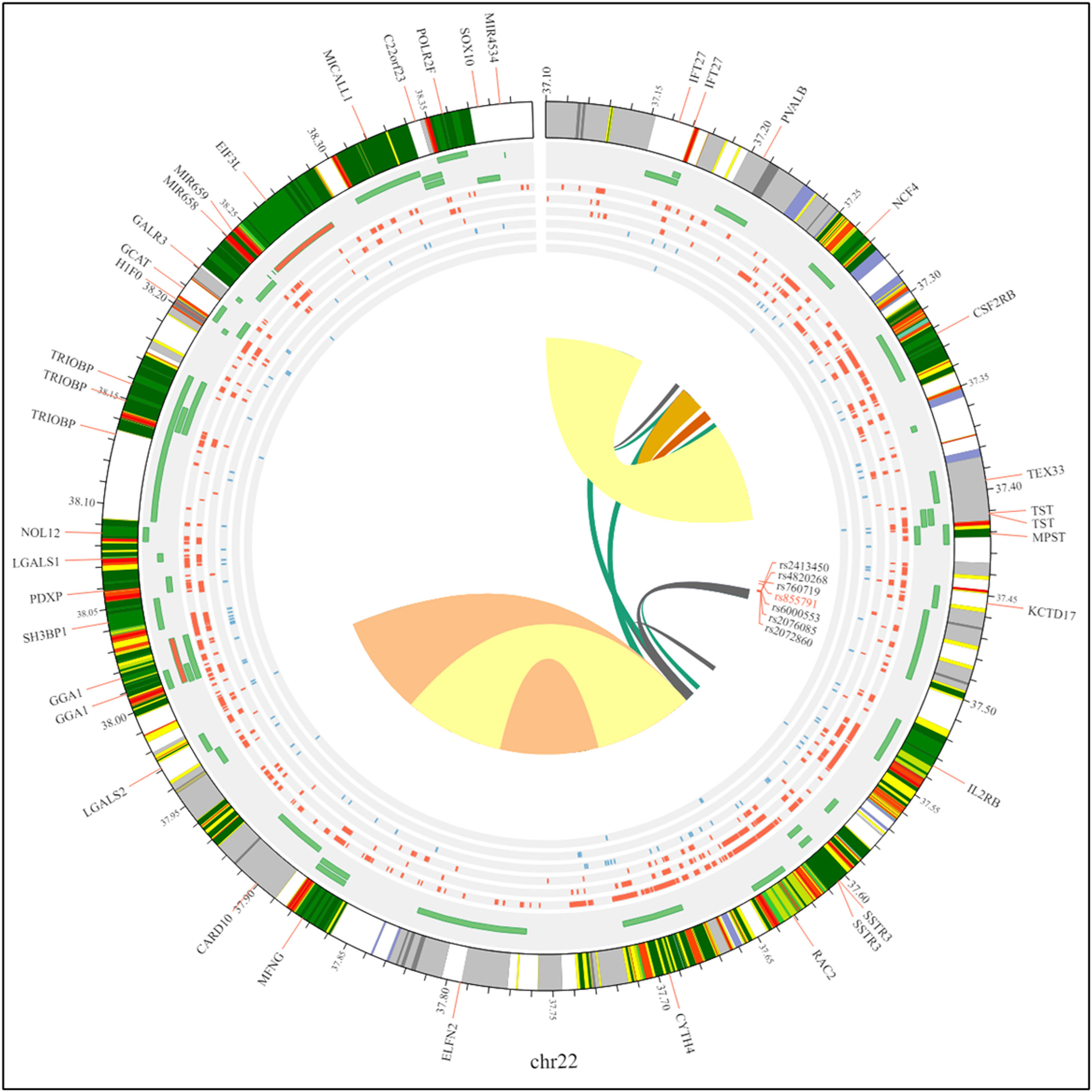 Lack of association between the TMPRSS6 gene polymorphism (rs855791 ...