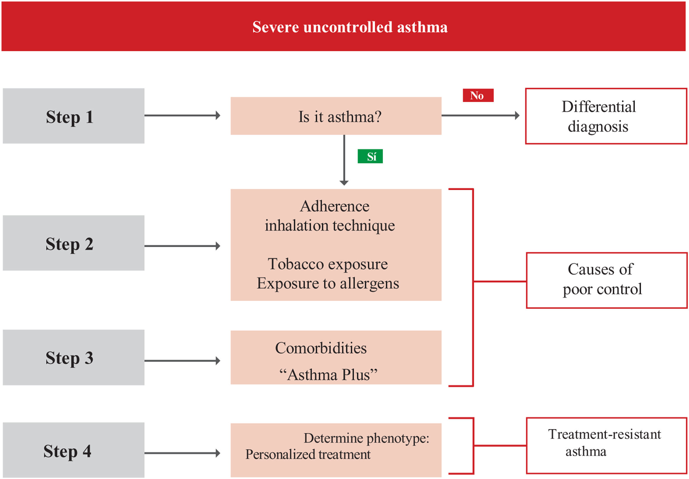 GEMA 5.3. Spanish Guideline on the Management of Asthma | Open ...