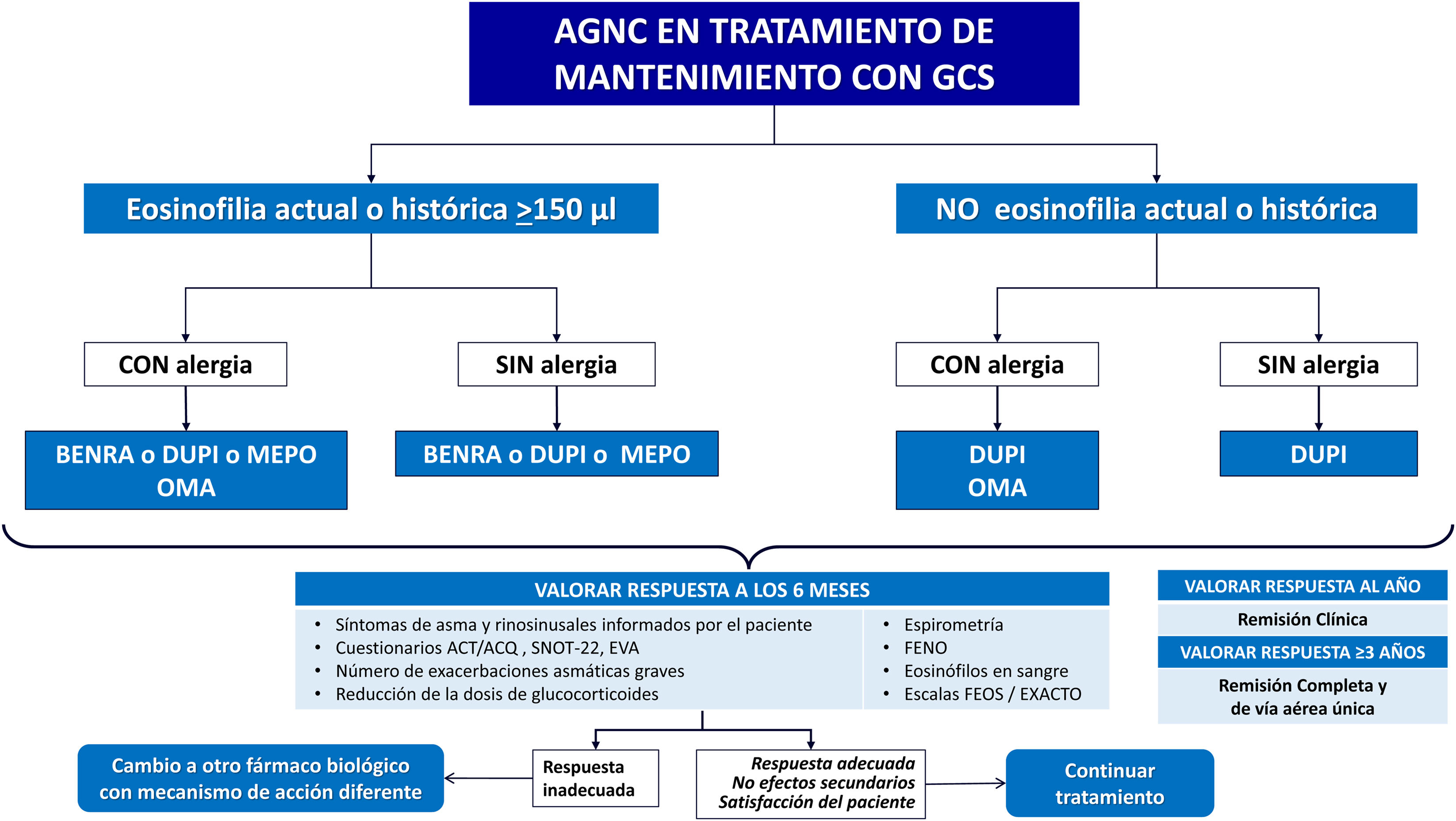 Documento de consenso de asma grave. Actualización 2025 | Open ...