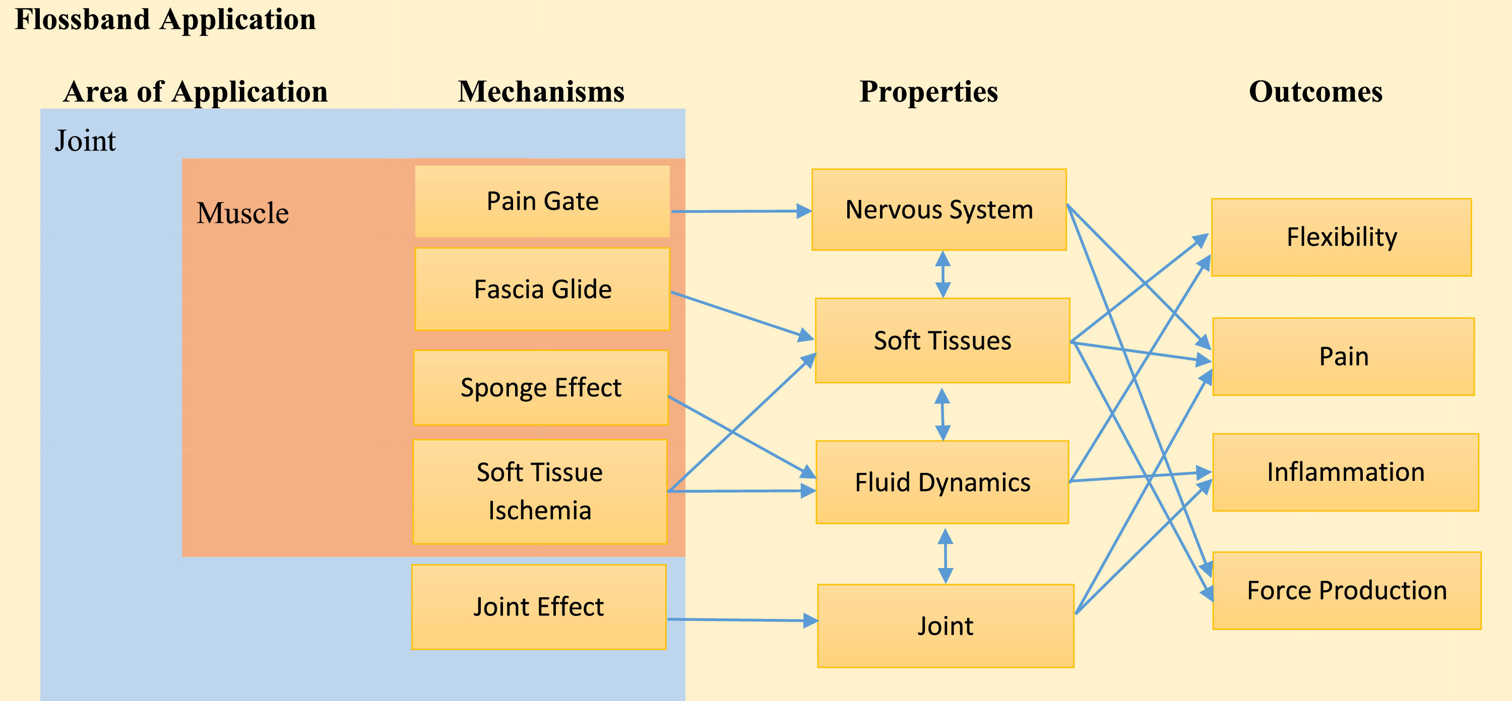 The potential mechanisms of tissue flossing with Flossband application ...