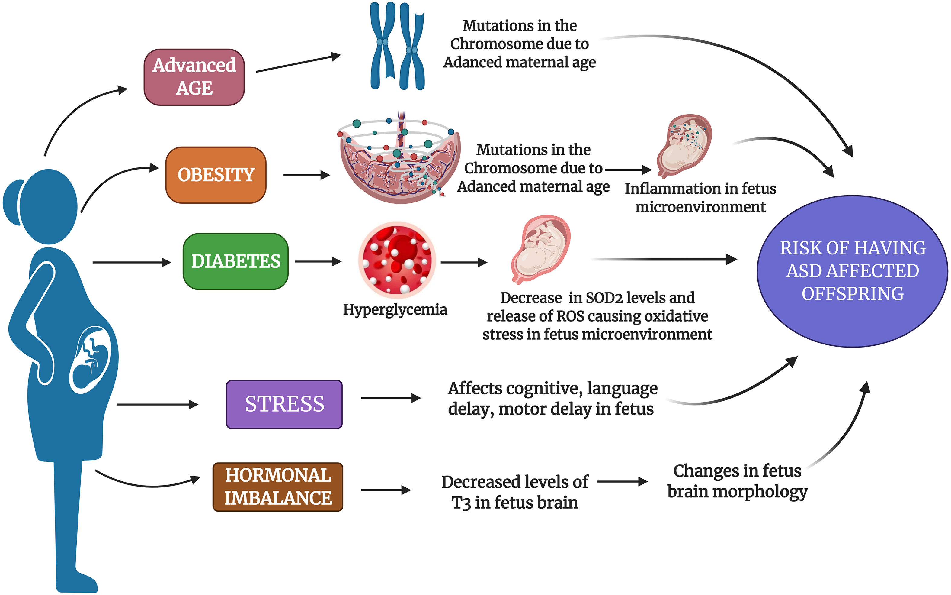 New insights into epigenetics as an influencer: An associative study ...