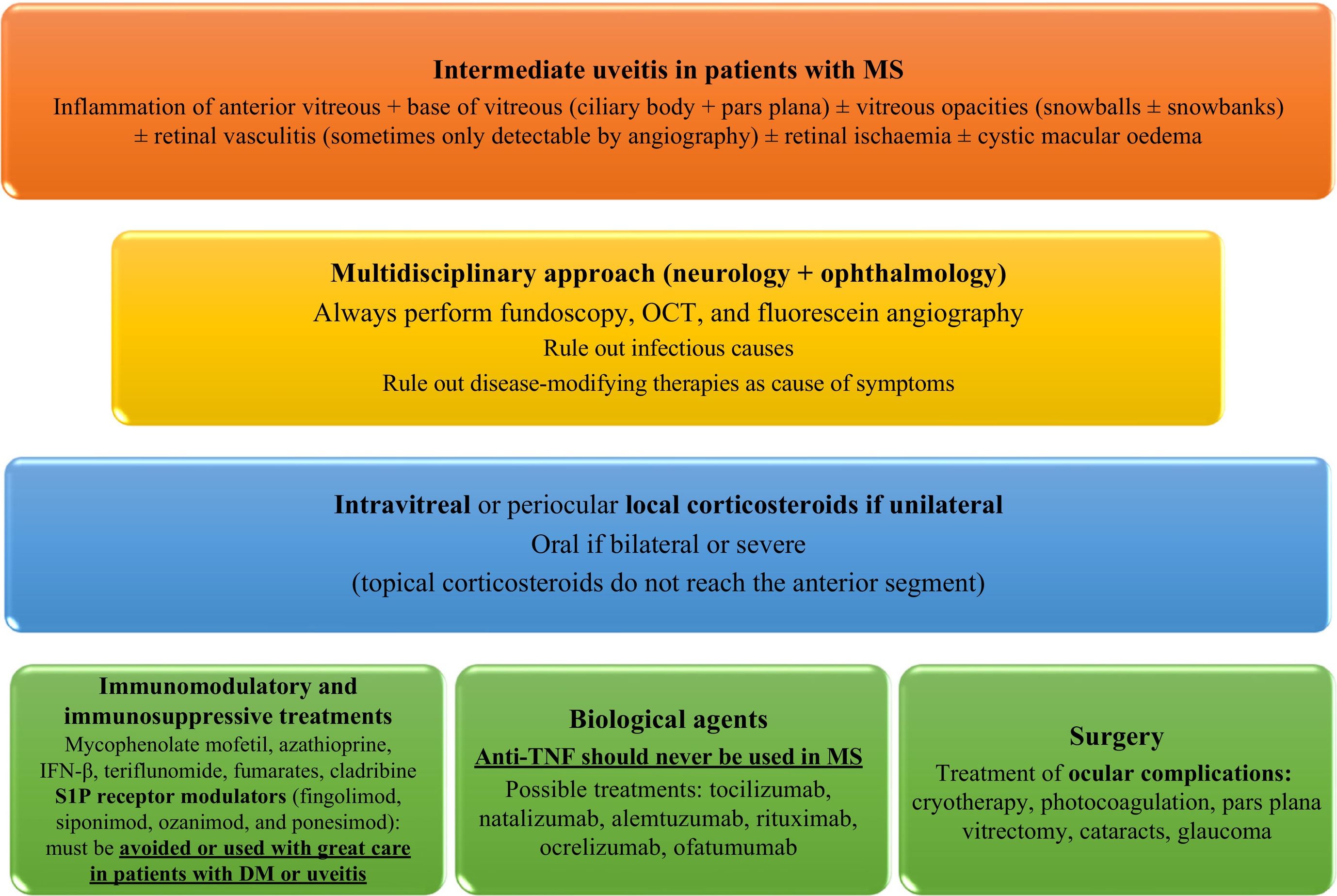 intermediate uveitis and ms